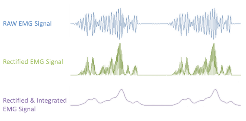 Muscle sensors-Harness the power of muscle signals - Pantech.AI