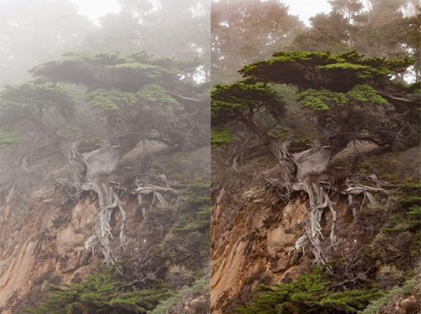 Matlab Code for Image Retrieval